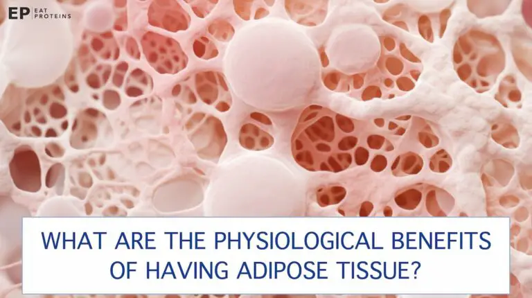 Adipose Tissue: Definition, Types, Function, Benefits, and Risks