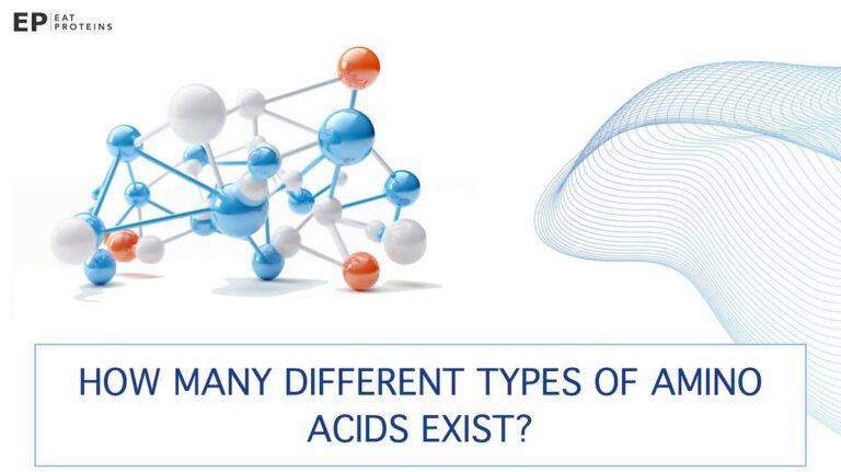 Amino Acids: Definition, Function, Benefits, and Risks