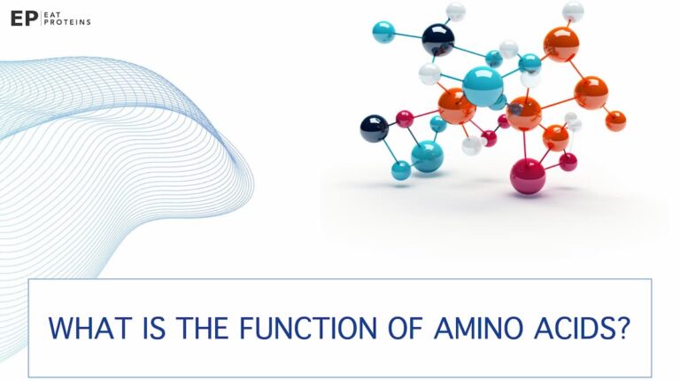 Amino Acids: Definition, Function, Benefits, and Risks