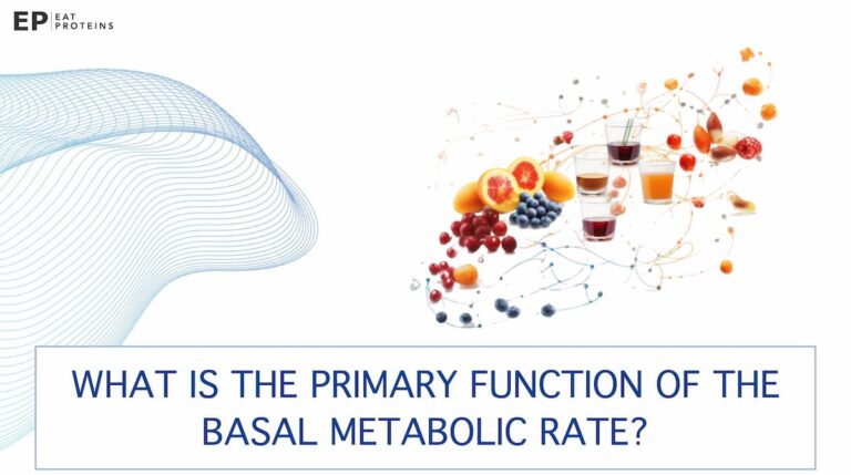 BMR (Basal Metabolic Rate): Definition, Function, and Importance