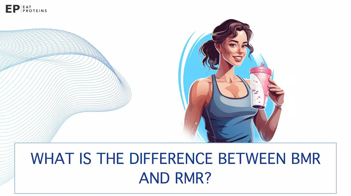 BMR (Basal Metabolic Rate): Definition, Function, and Importance