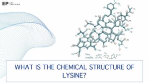 Lysine: Definition, Function, and Sources
