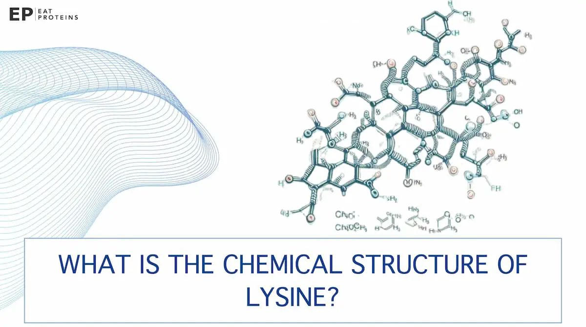 Lysine: Definition, Function, and Sources